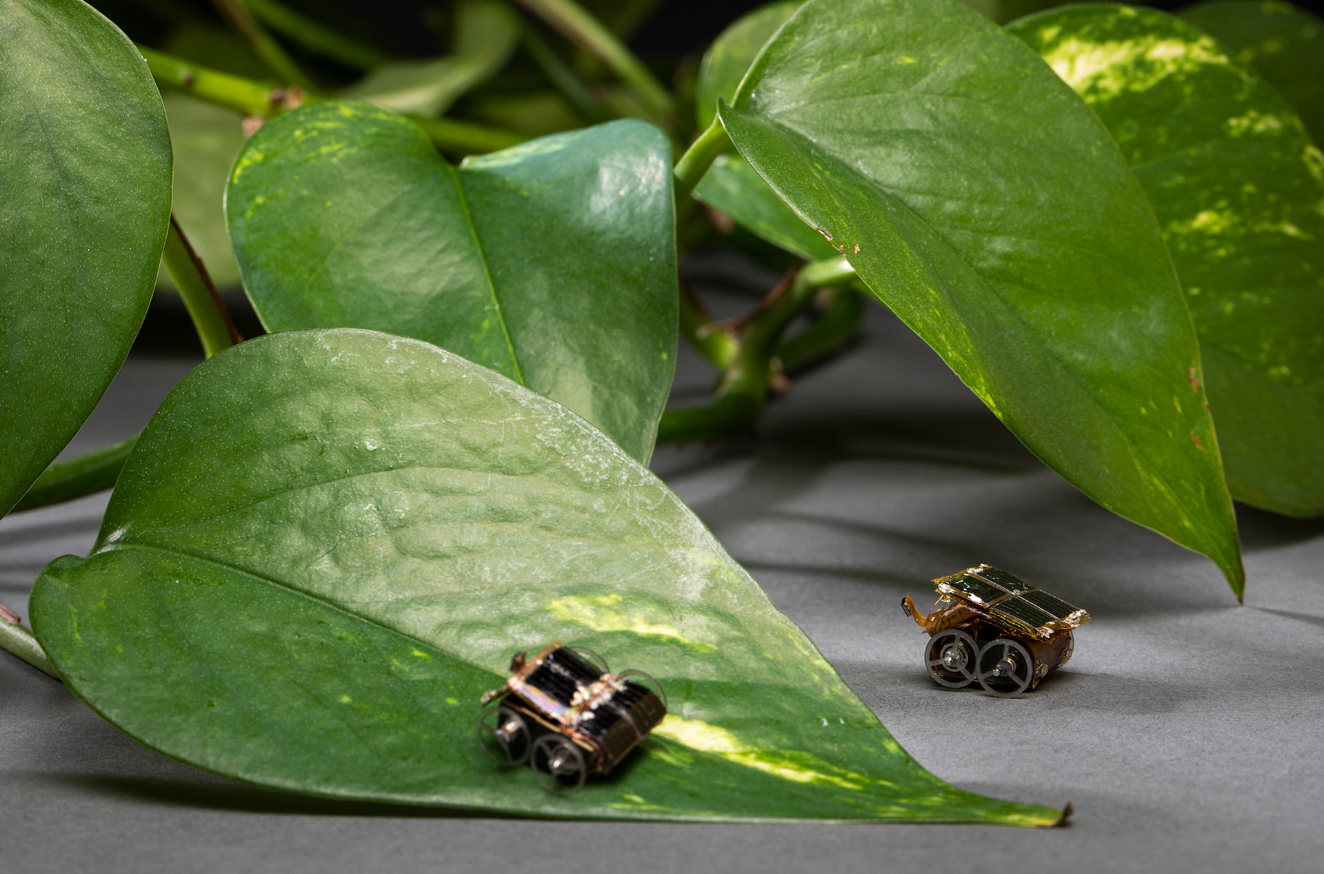 MilliMobile: The Tiny Titan Revolutionizing Microrobotics with Battery ...